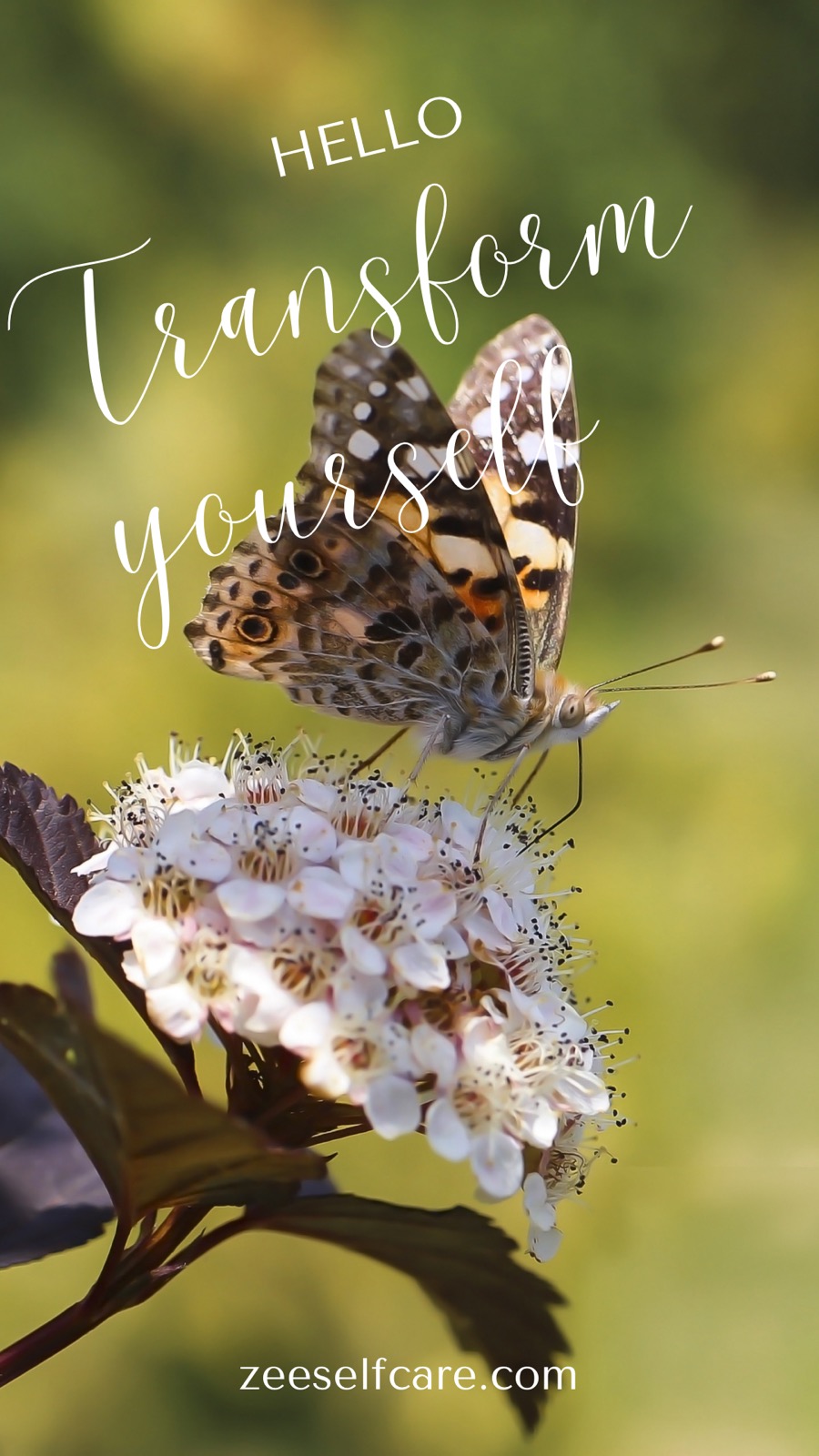 The Power Of Transformation – Zeeselfcare